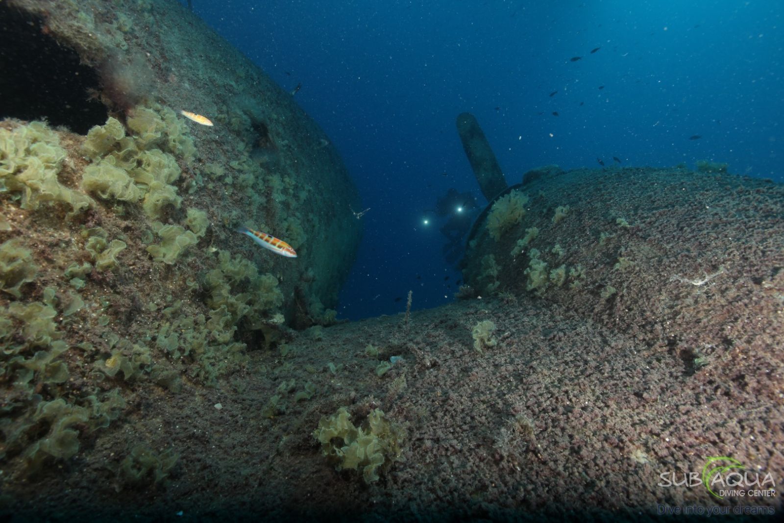 C47 Dacota Plane | SubAQUA Diving Center Kas